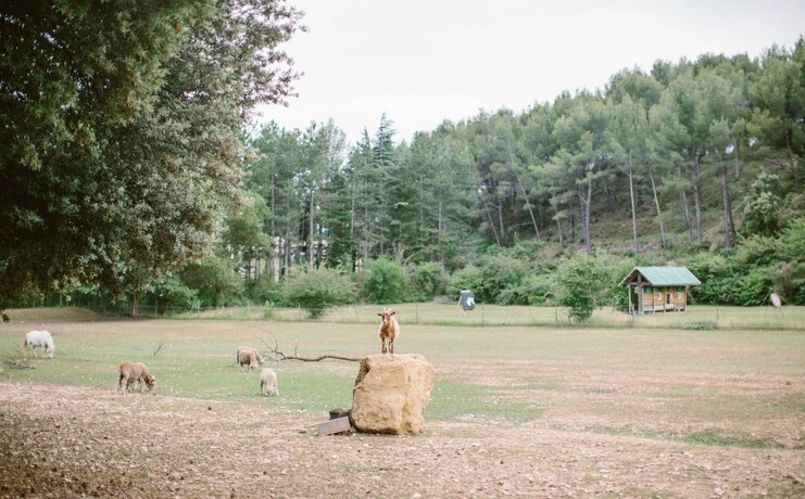 LE DOMAINE DE BELEZY ***** | Libranoo